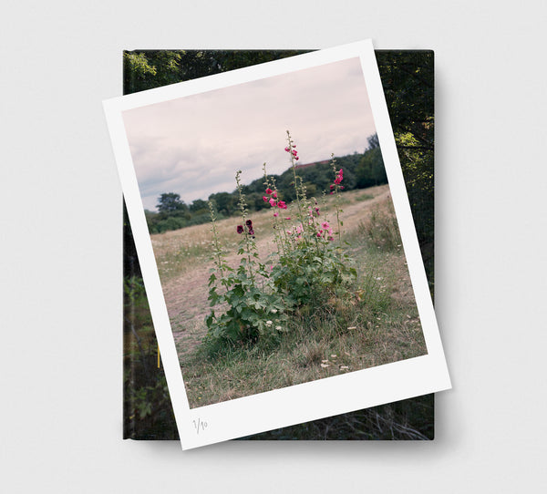 Limited edition print (B) + book: 'The Hackney Marshes' - Hoxton Mini Press
